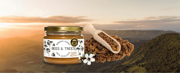 Everything you need to know about propolis in Manuka honey